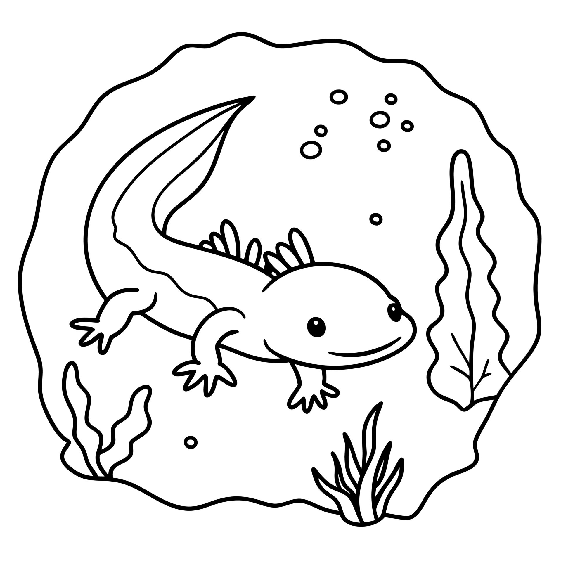 Axolotls coloring pages for kids coloring book 46965574 Vector Art at ...