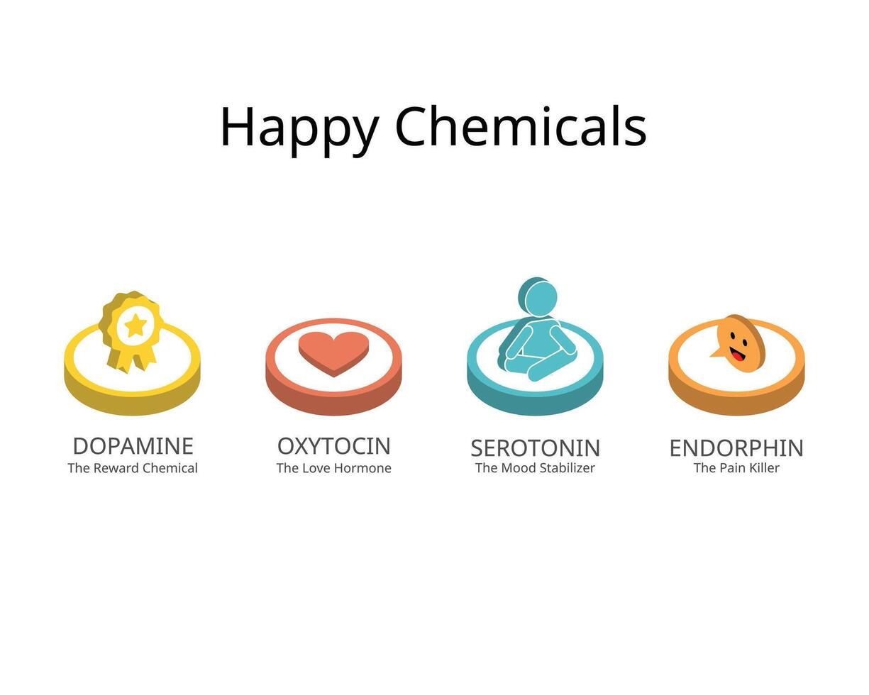Serotonin Dopamine Oxytocin Endorphins Are Happy Hormones That