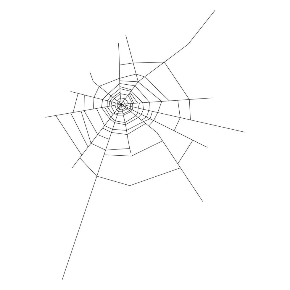 Hand drawn spider web illustration on white background 46972472 Vector ... Hand drawn spider web illustration on white background 46972472 Vector ...