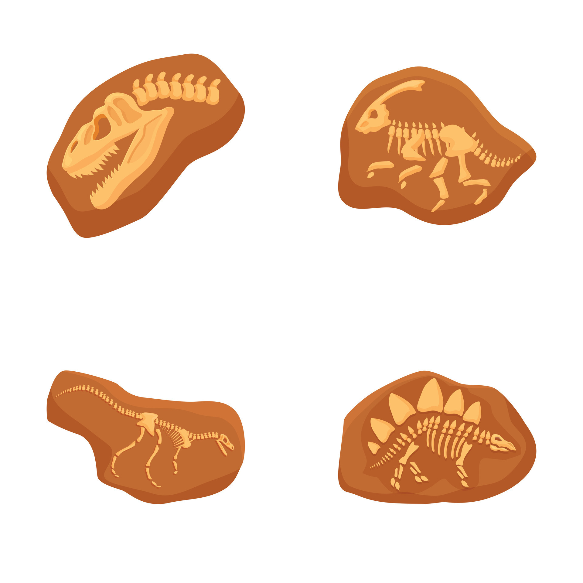 Set of dinosaur fossils isolated on white background 47052799 Vector ...