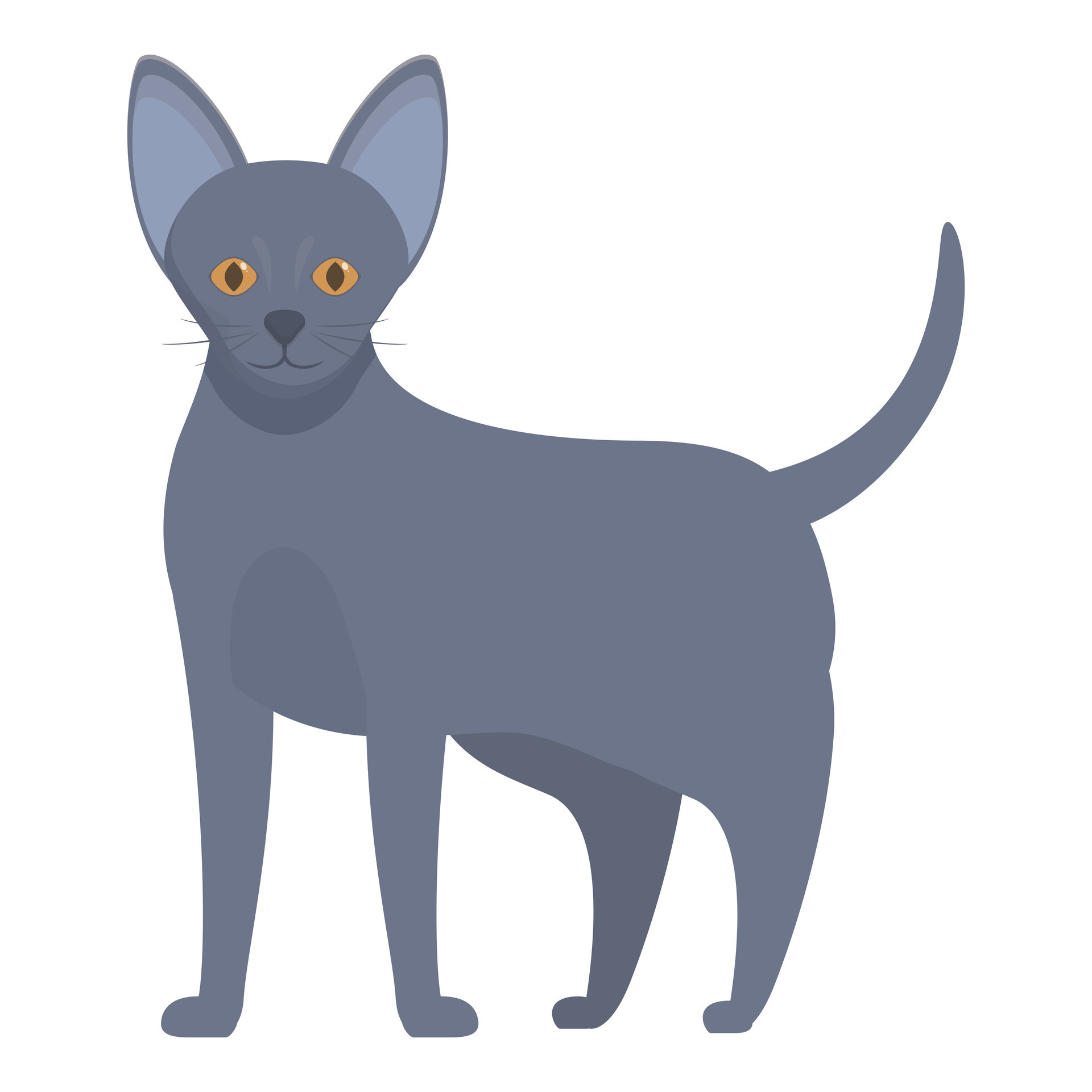 Grey cat standing on white background illustration 47057590 Vector Art ...