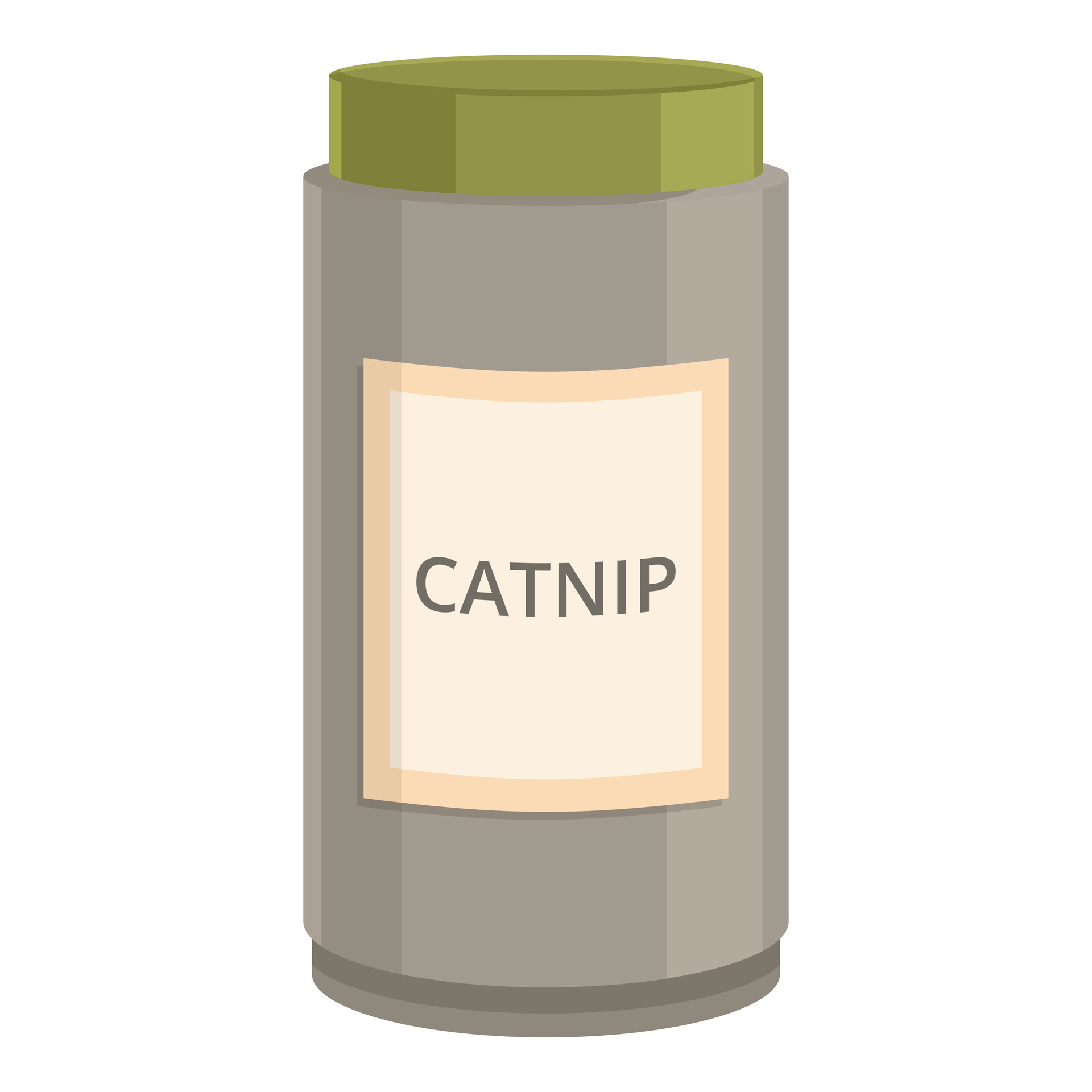 Catnip jar sitting on white background 47058738 Vector Art at Vecteezy