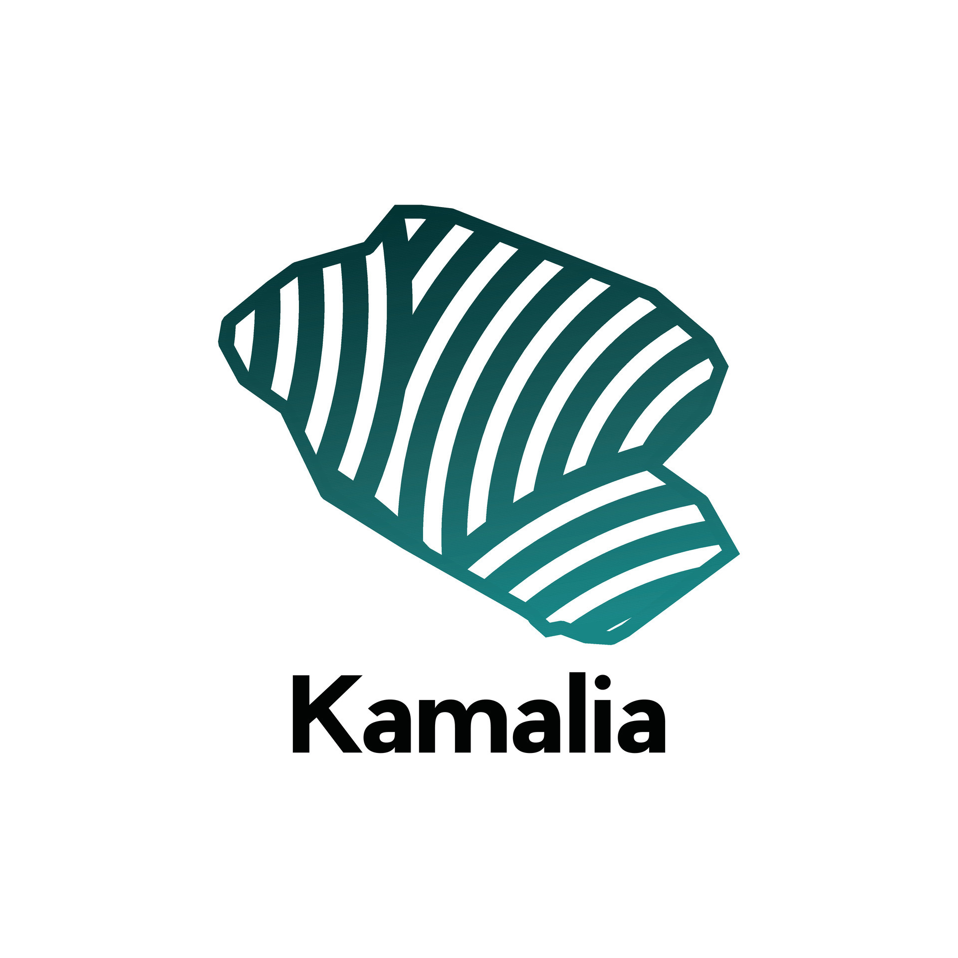 Map City of Kamalia design template, national borders and important cities illustration on white ...