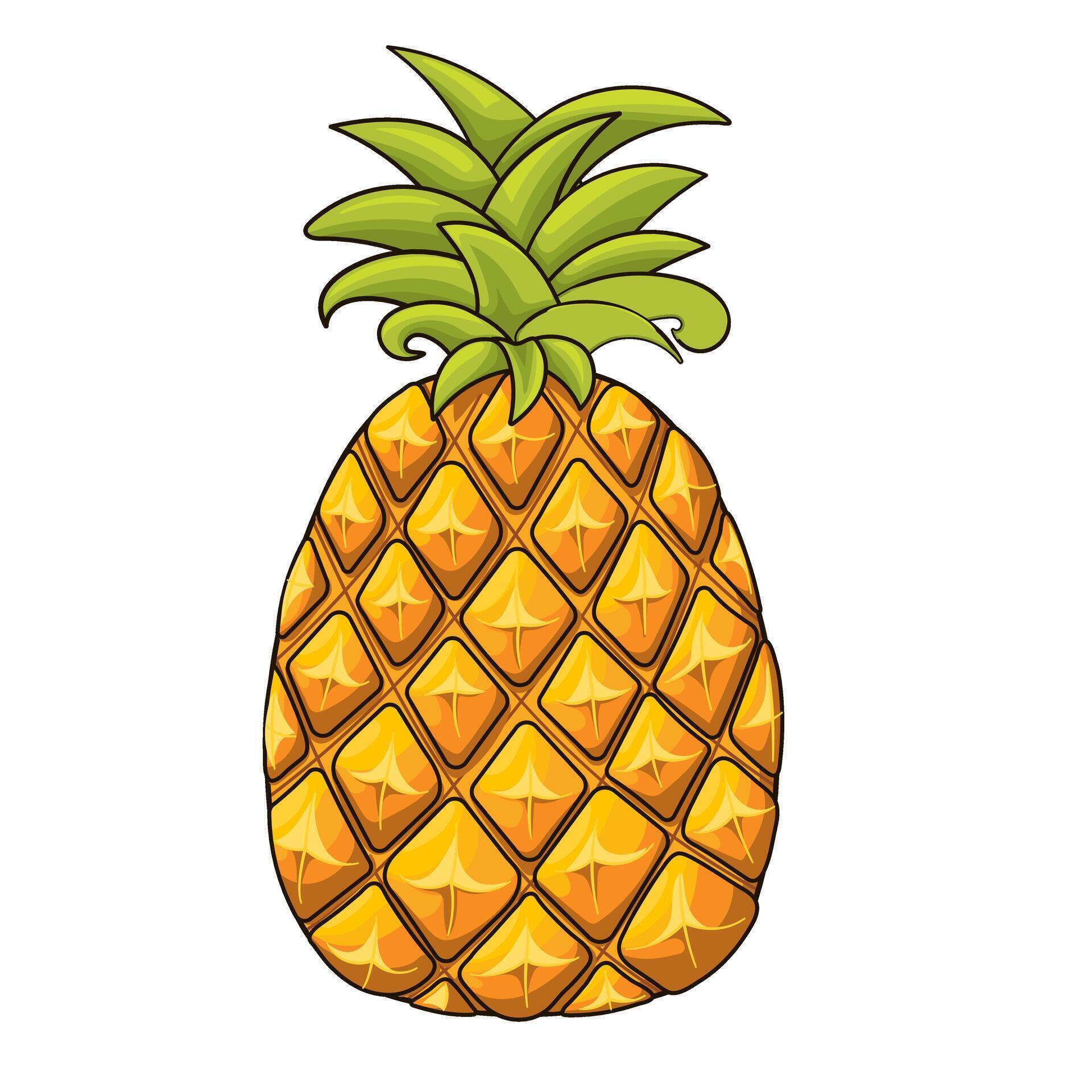 Ripe tropical pineapple fruit in cartoon style 47114677 Vector Art at Vecteezy