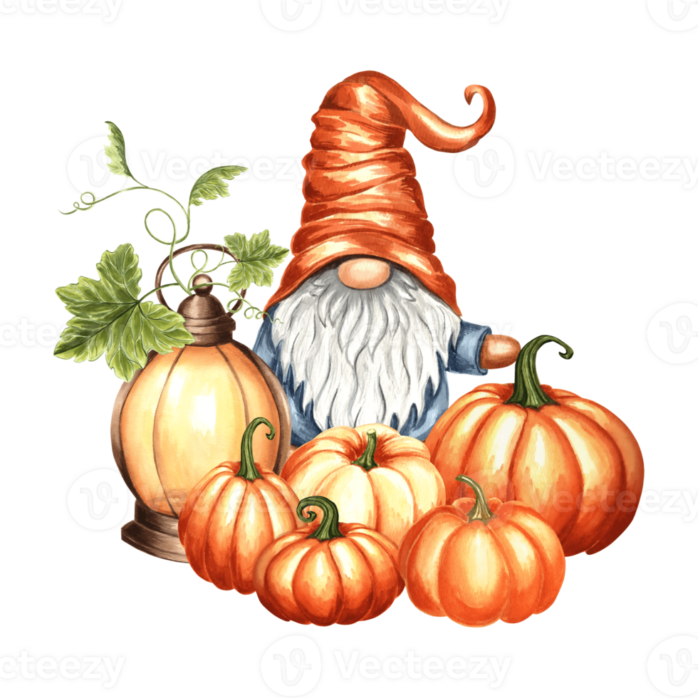 Gnome with pumpkins and vintage lantern. Autumn composition. Hand drawn ...