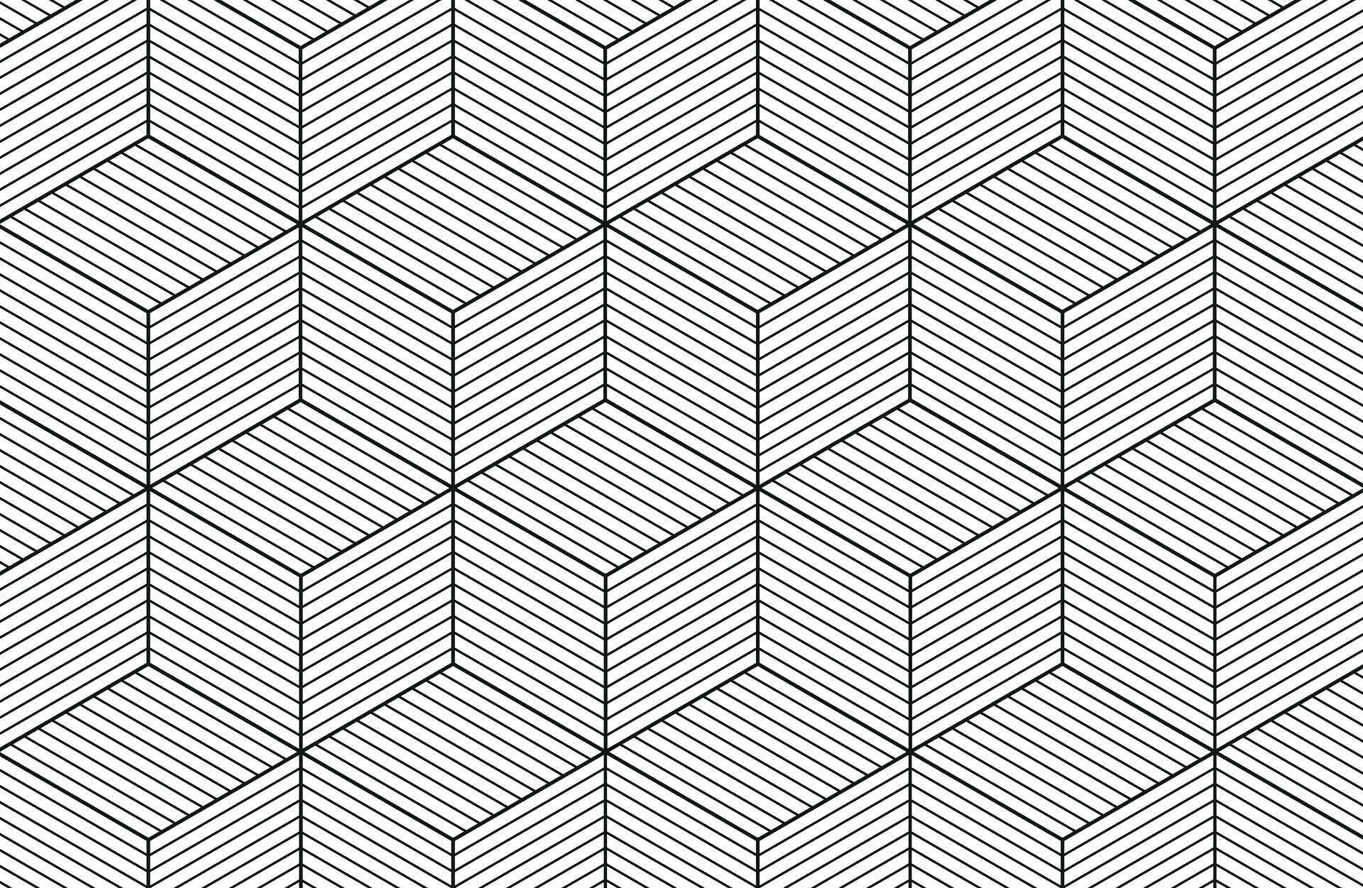 Hexagonal Line Cube Pattern 47131618 Vector Art at Vecteezy
