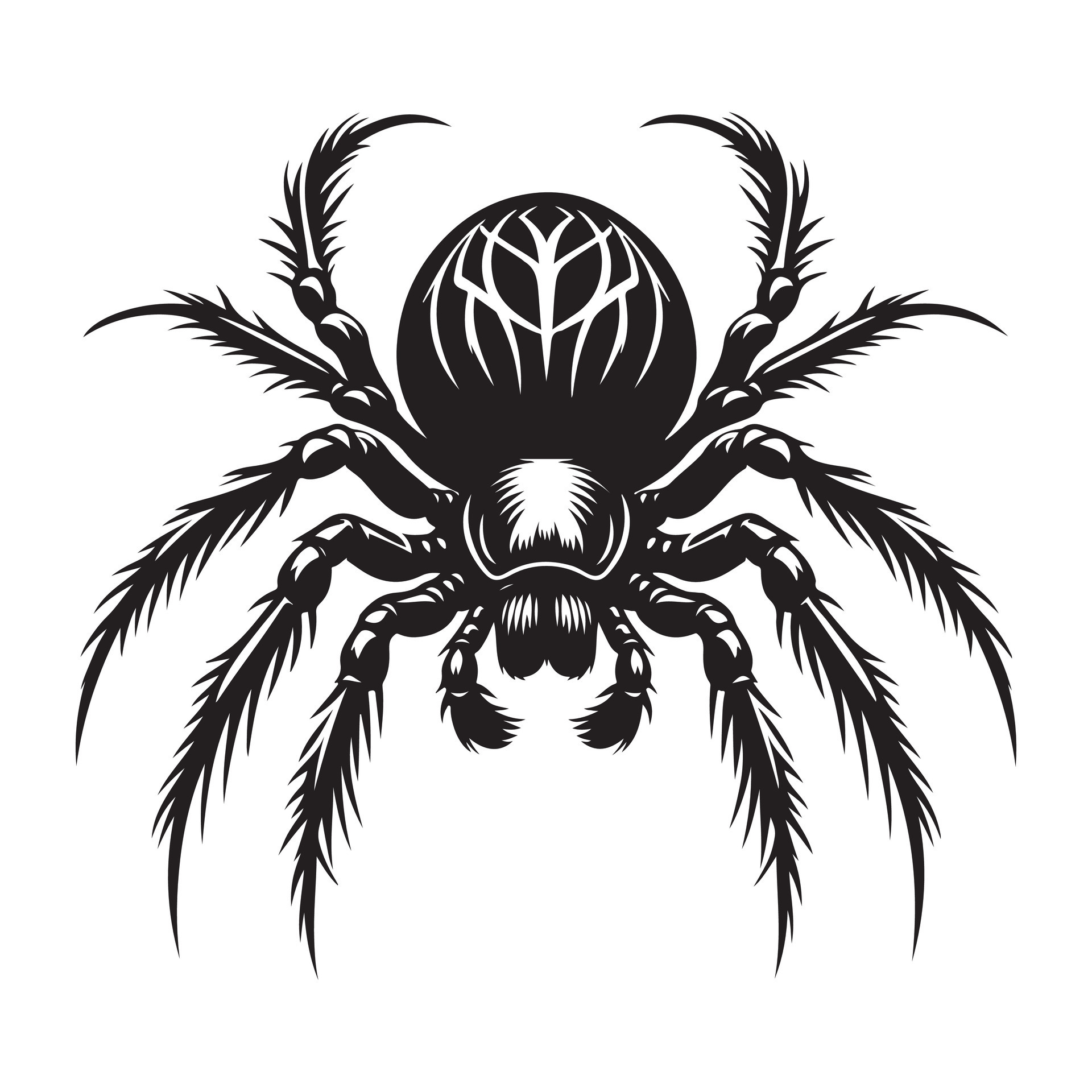 Spider vectors silhouette 47156070 Vector Art at Vecteezy
