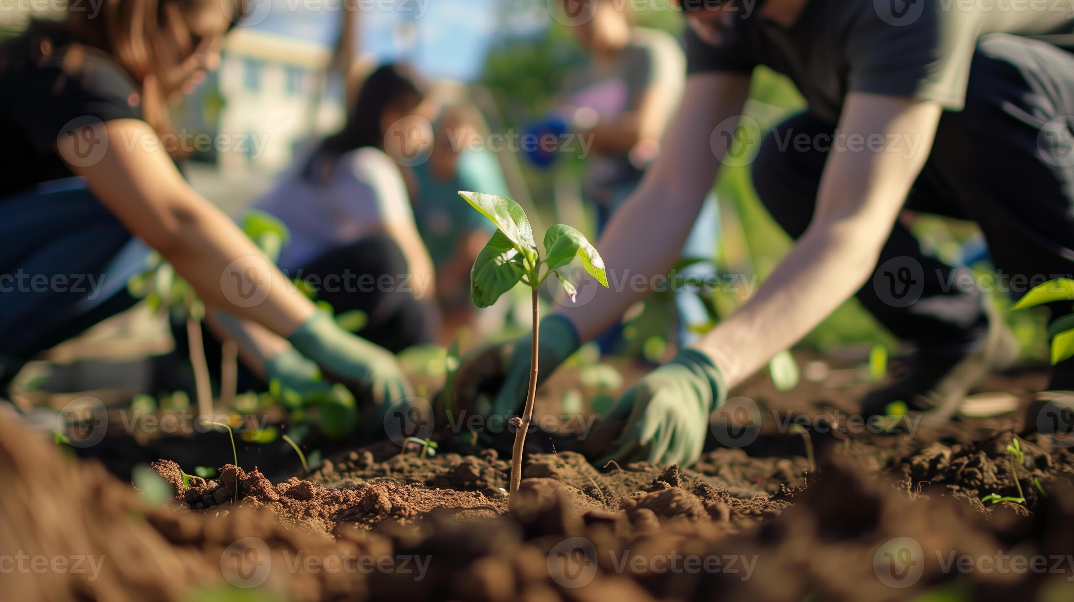 Community Tree Planting Event with Volunteers 47157090 Stock Photo at Vecteezy