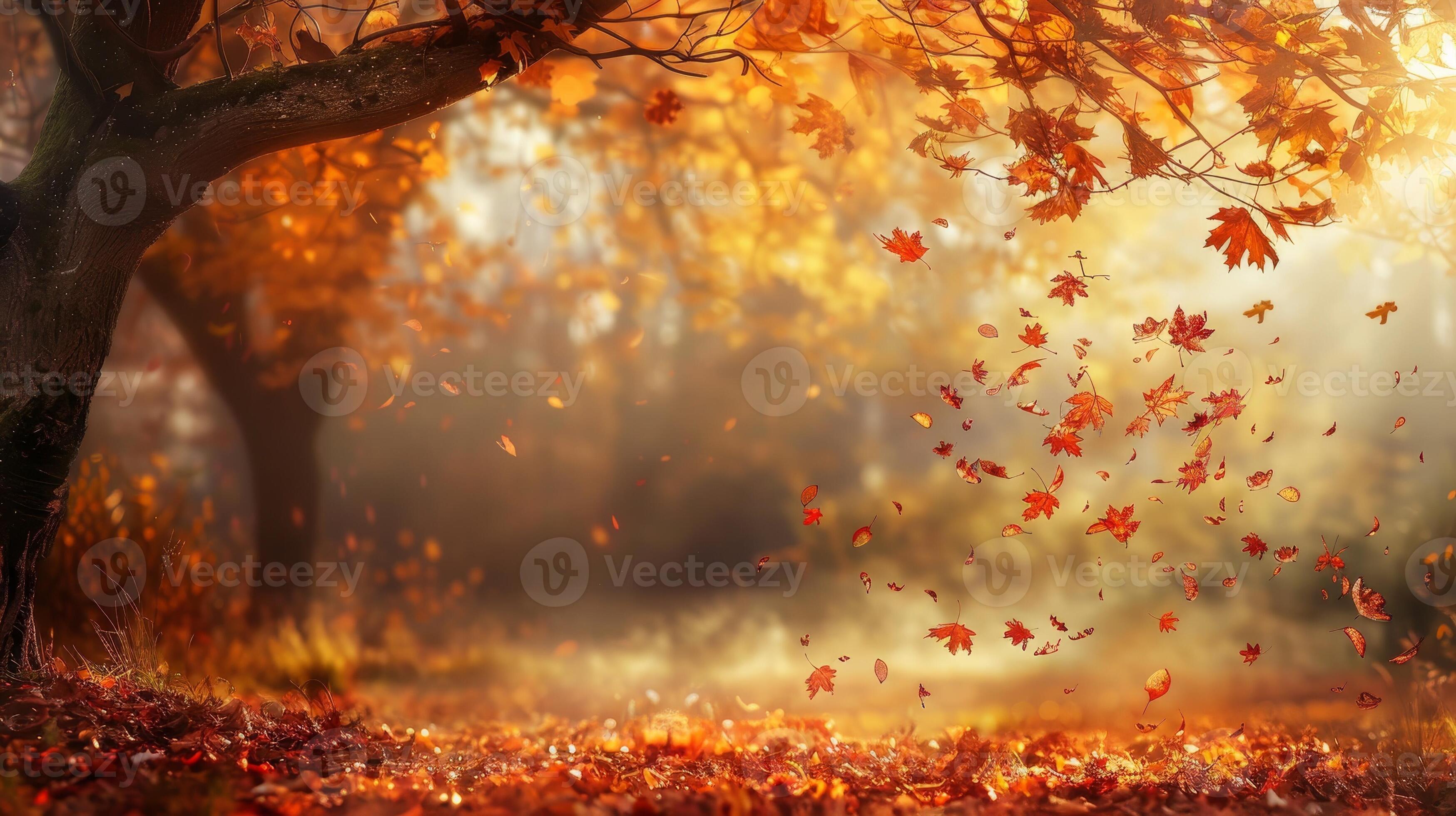 A tree with many leaves falling from it 47177245 Stock Photo at Vecteezy