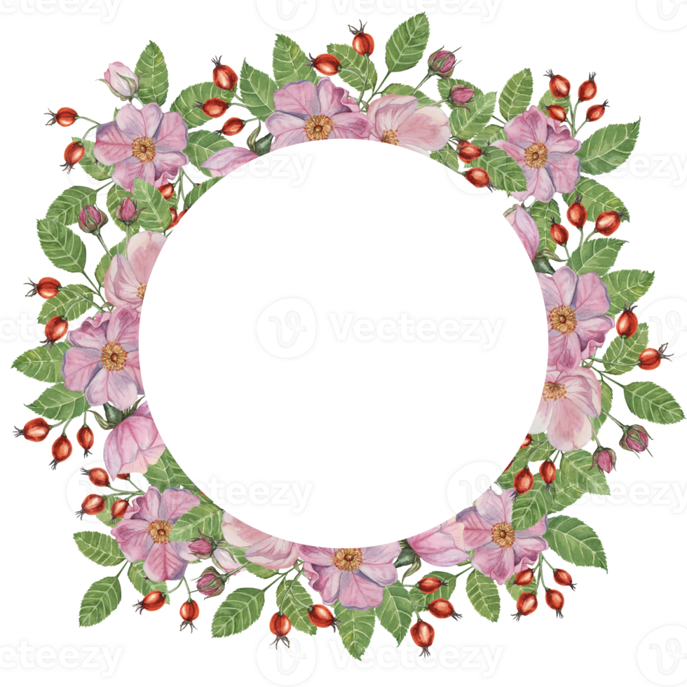 Rosehip red berries round frame template, pink wild rose flowers and ... Rosehip red berries round frame template, pink wild rose flowers and ...