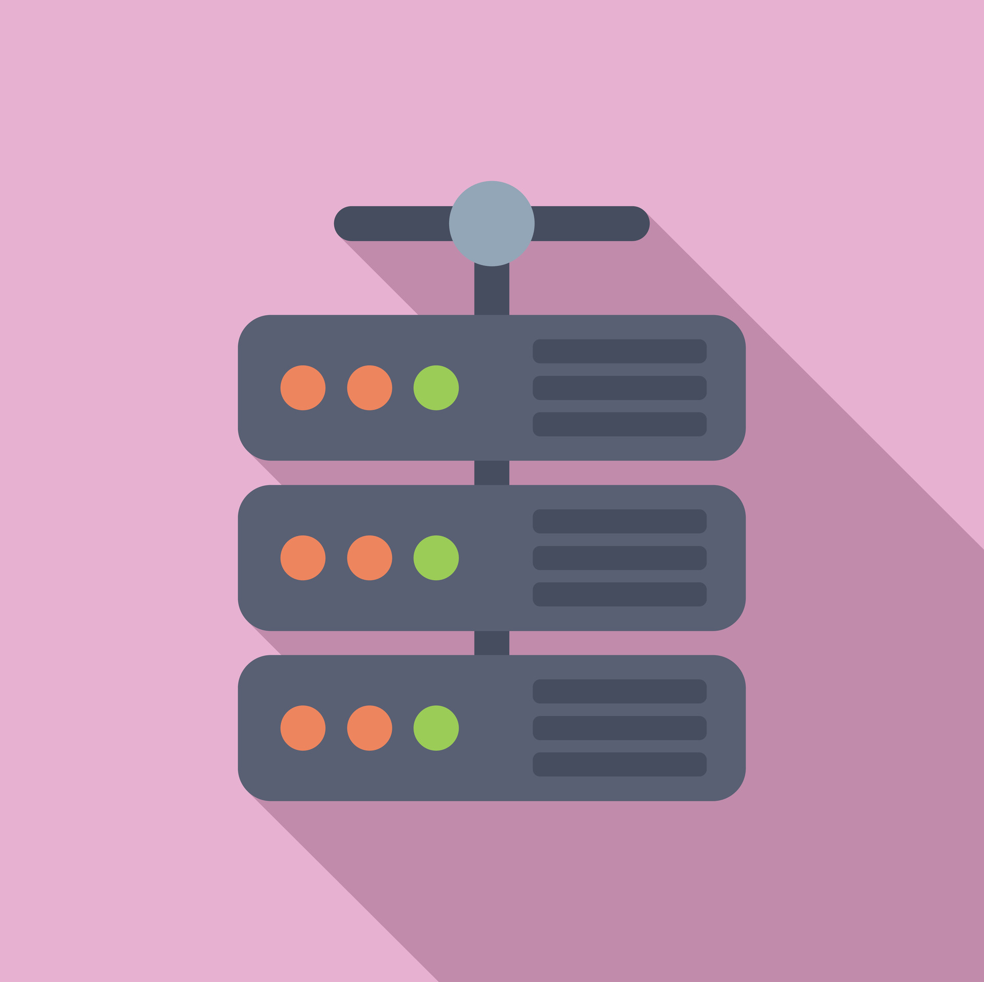 Data Center Server Providing Hosting Services With Secure Storage And Network Connectivity