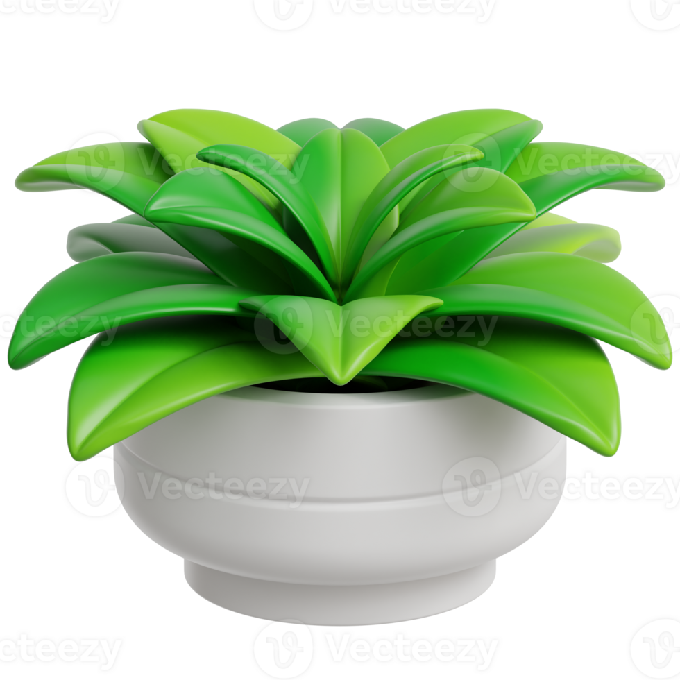Decoration Plant 3d Illustration 47246925 Png