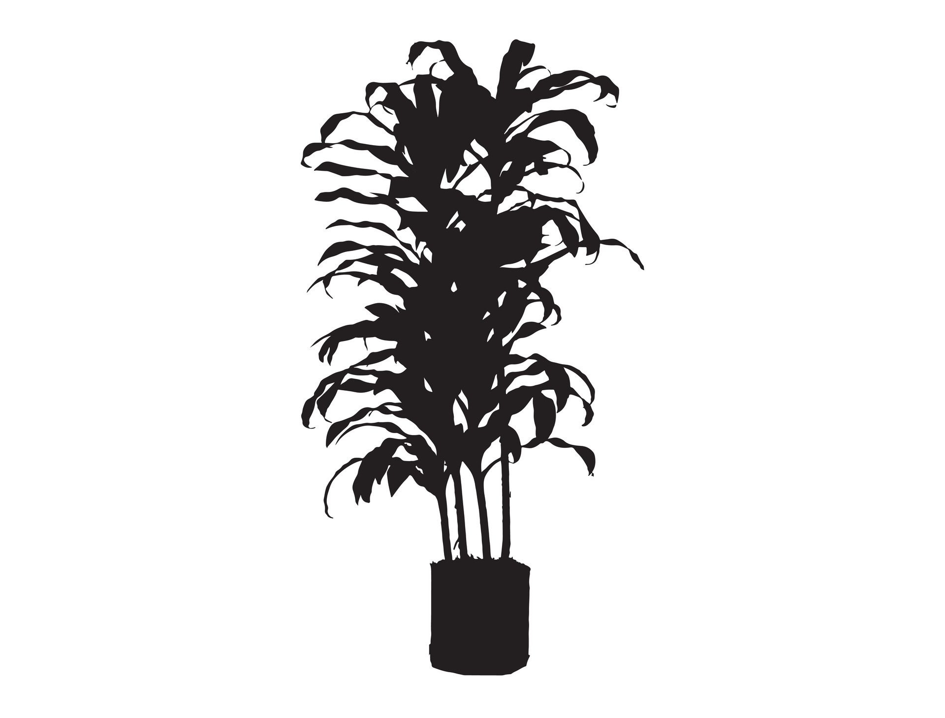 Tropical plant silhouette on white background 47306615 Vector Art at ... Tropical plant silhouette on white background 47306615 Vector Art at ...