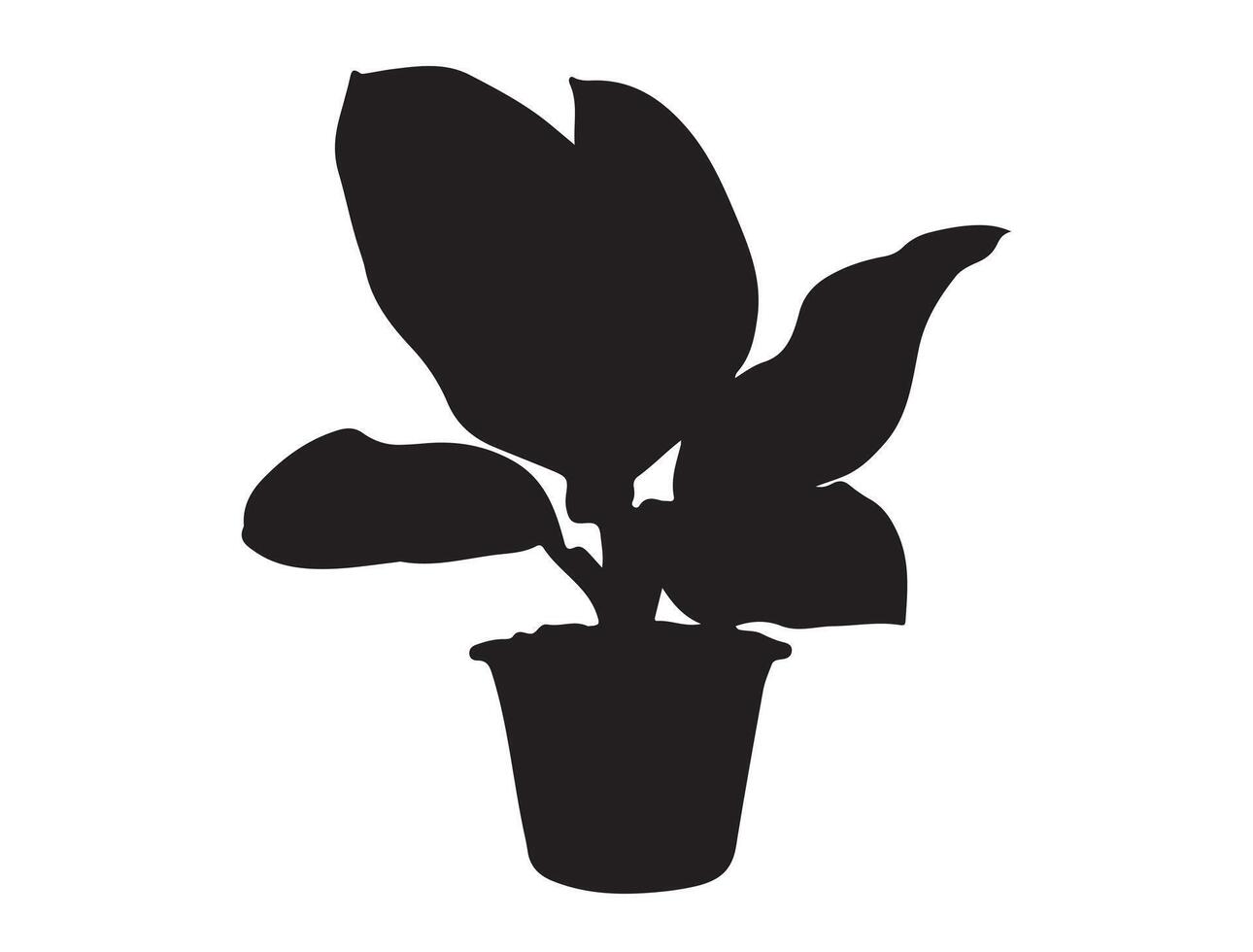 Tropical plant silhouette on white background 47306636 Vector Art at ... Tropical plant silhouette on white background 47306636 Vector Art at ...