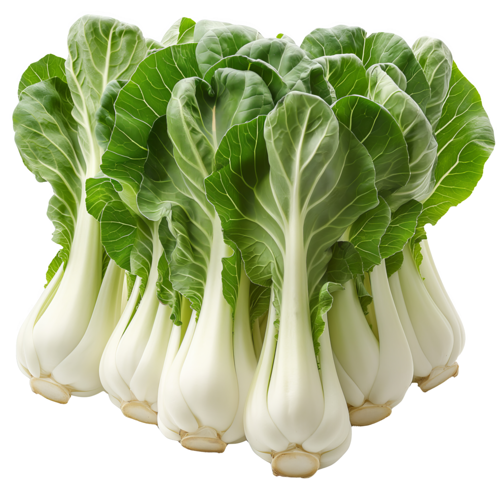 Fresh Bok Choy with Leaves and Stems 47307256 PNG Fresh Bok Choy with Leaves and Stems 47307256 PNG