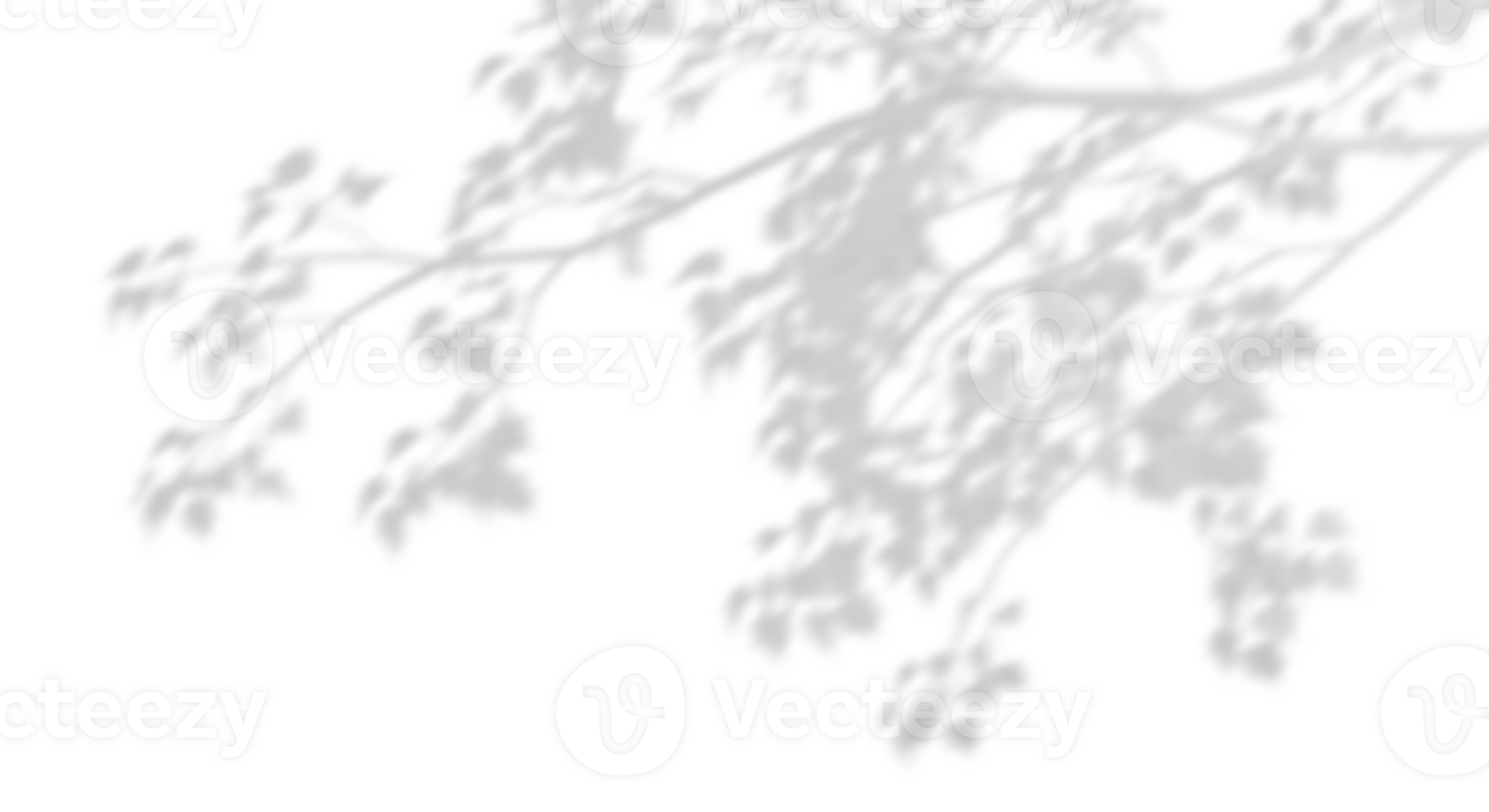 Realistic tree branches shadow blur isolate on transparent backgrounds ...