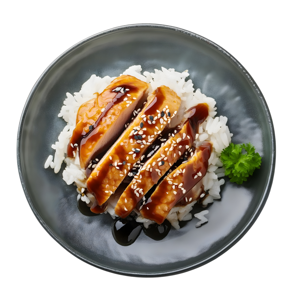 Teriyaki On Plate Japan Food 47309652 Png