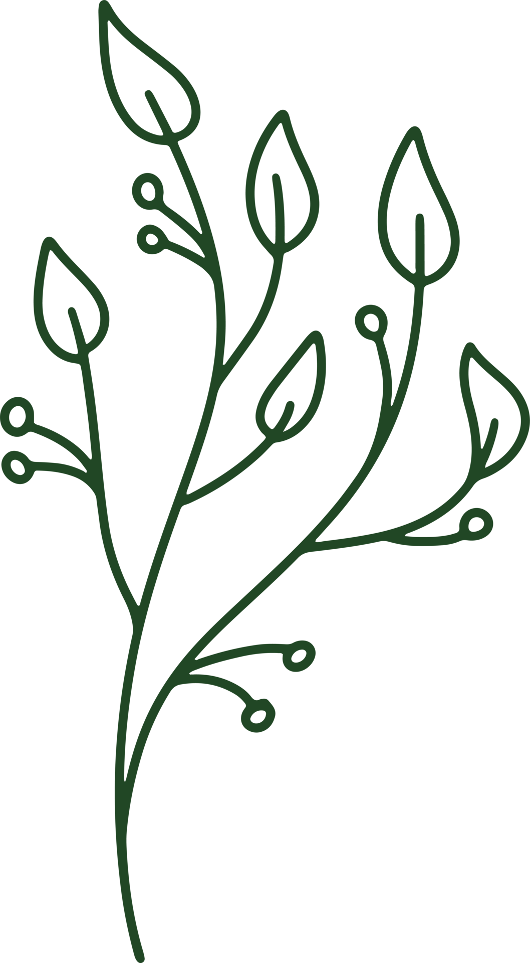Handdrawn Organic Leaves illustration 47309789 PNG
