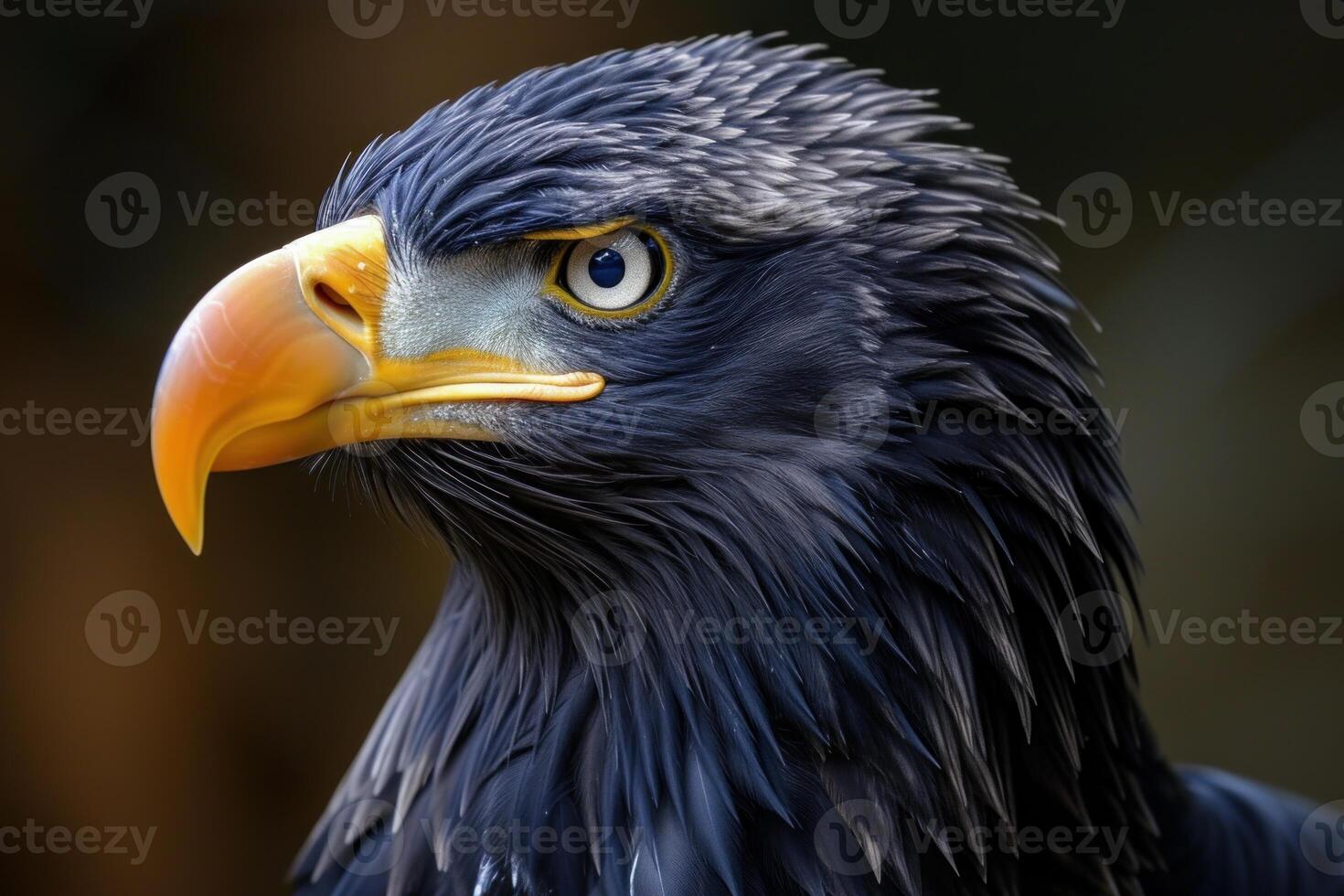 Fierce Black eagle bird sparkles. Generate Ai 47341356 Stock Photo at ... Fierce Black eagle bird sparkles. Generate Ai 47341356 Stock Photo at ...