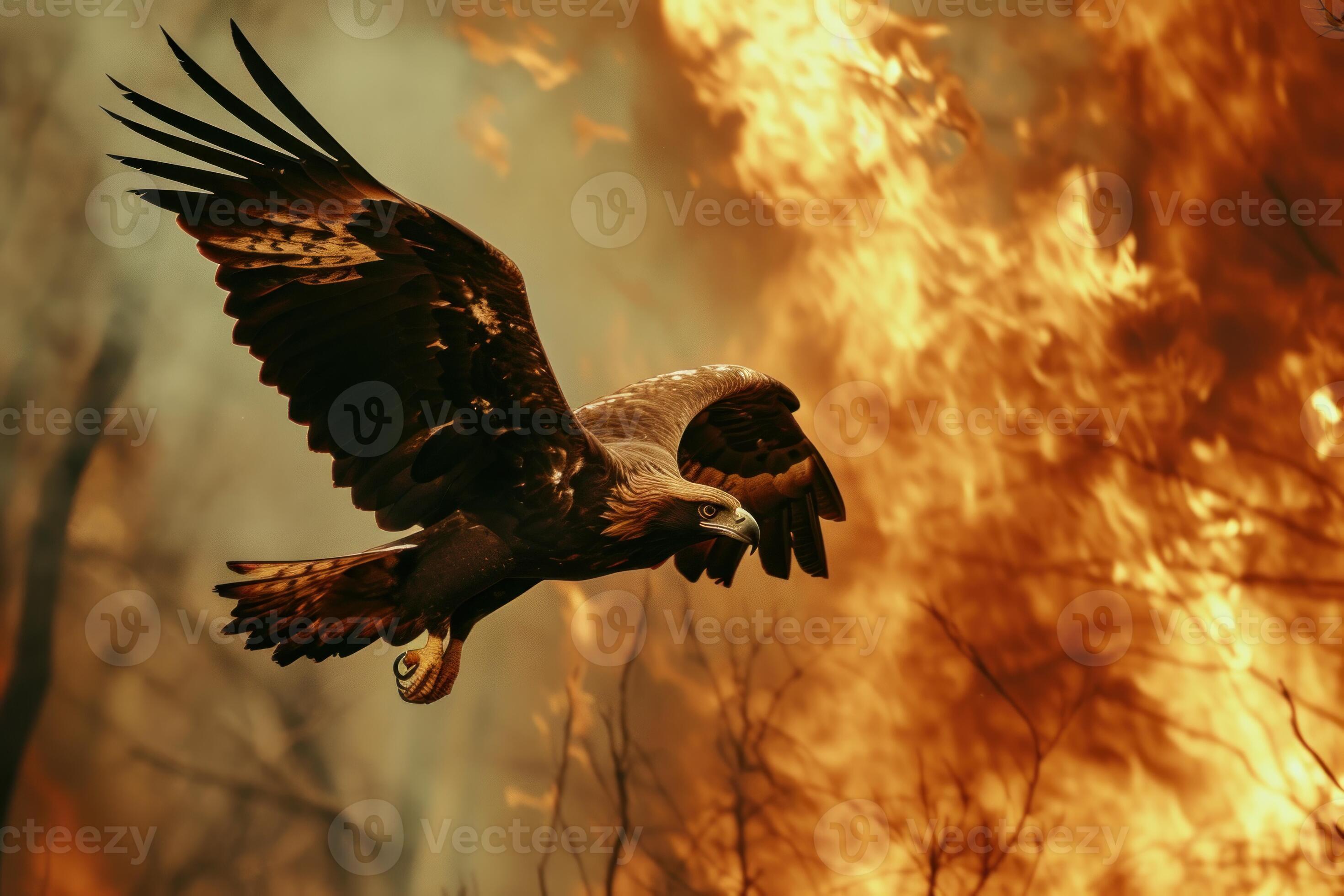 Powerful Black eagle bird. Generate Ai 47345965 Stock Photo at Vecteezy Powerful Black eagle bird. Generate Ai 47345965 Stock Photo at Vecteezy