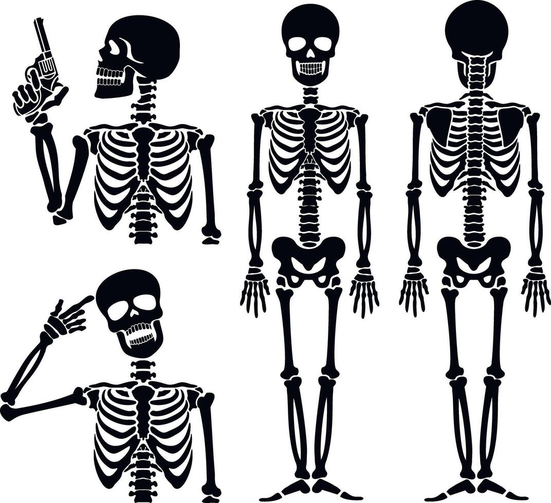 set- skeleton full-length, stencil 47379662 Vector Art at Vecteezy