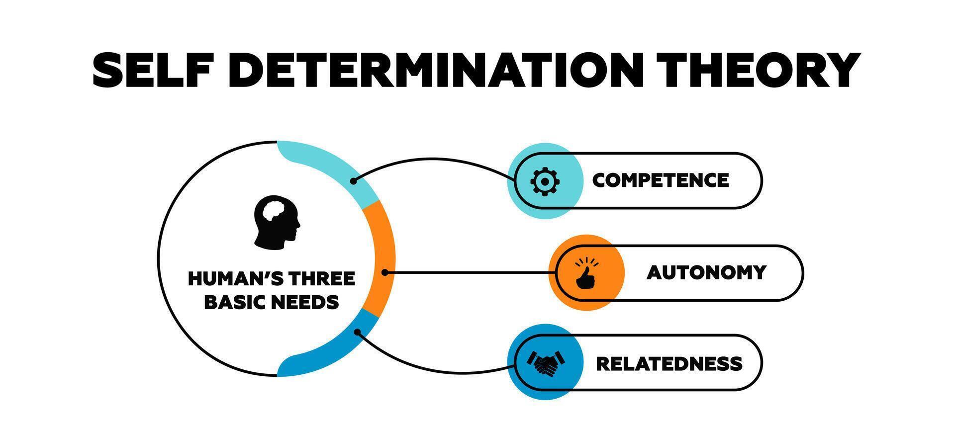 Self determination theory graph 47382675 Vector Art at Vecteezy Self determination theory graph 47382675 Vector Art at Vecteezy