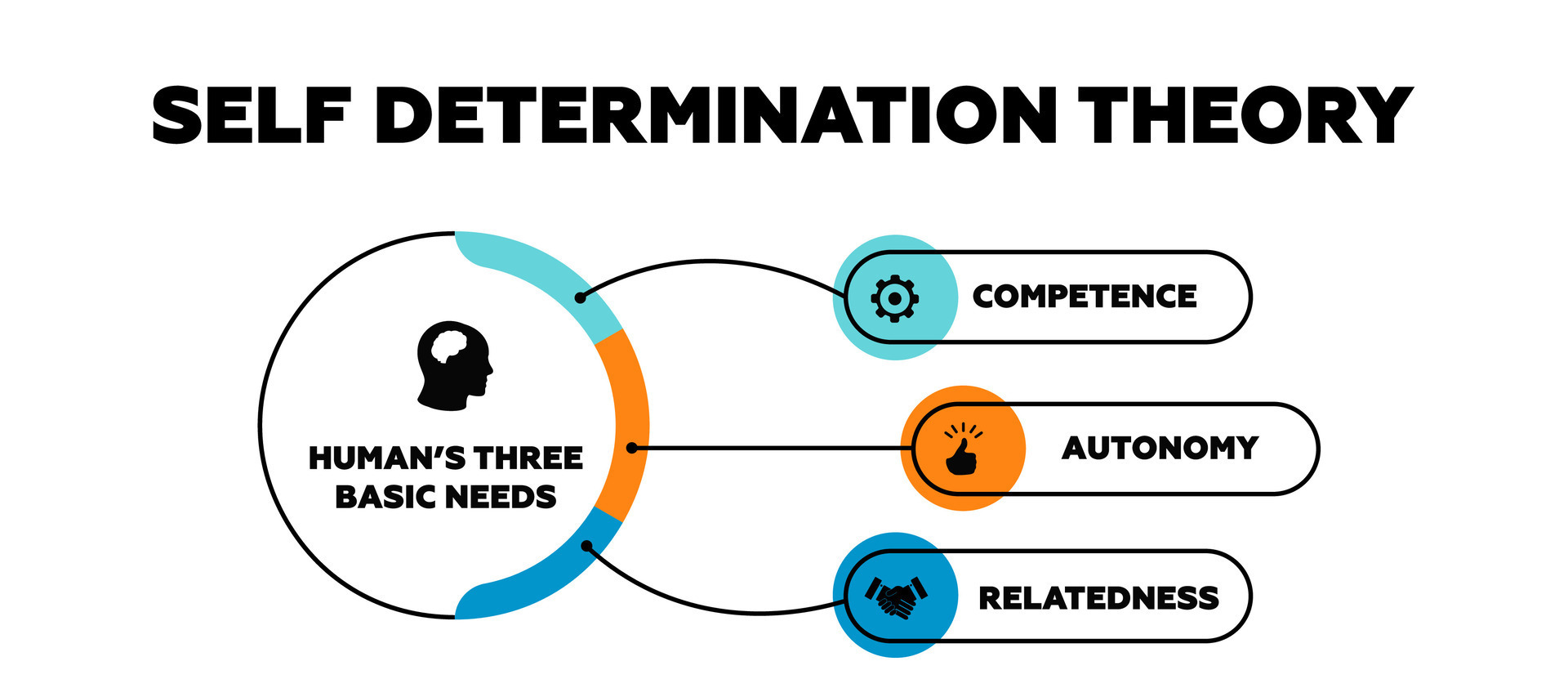 Self Determination Theory Graph 47382675 Vector Art At Vecteezy