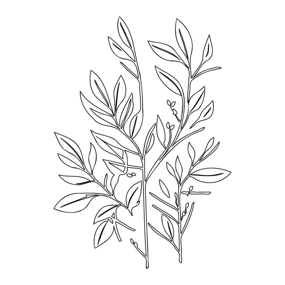 parallel leaf floral outline illustration sketch 47389148 Vector Art at ... parallel leaf floral outline illustration sketch 47389148 Vector Art at ...