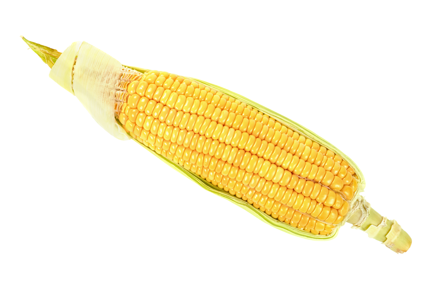 Sweet Corn Isolated 47389560 PNG sweet-corn-isolated-47389560-png