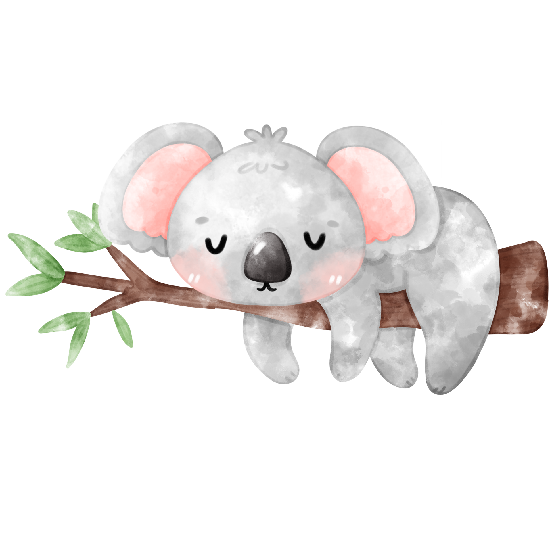 Cute Koala watercolor, koala , Koala bear 47394823 PNG