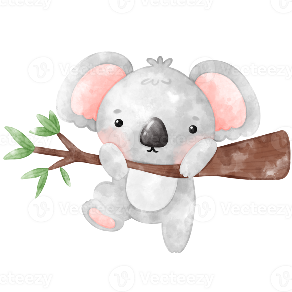 Cute Koala watercolor, koala , Koala bear 47394825 PNG