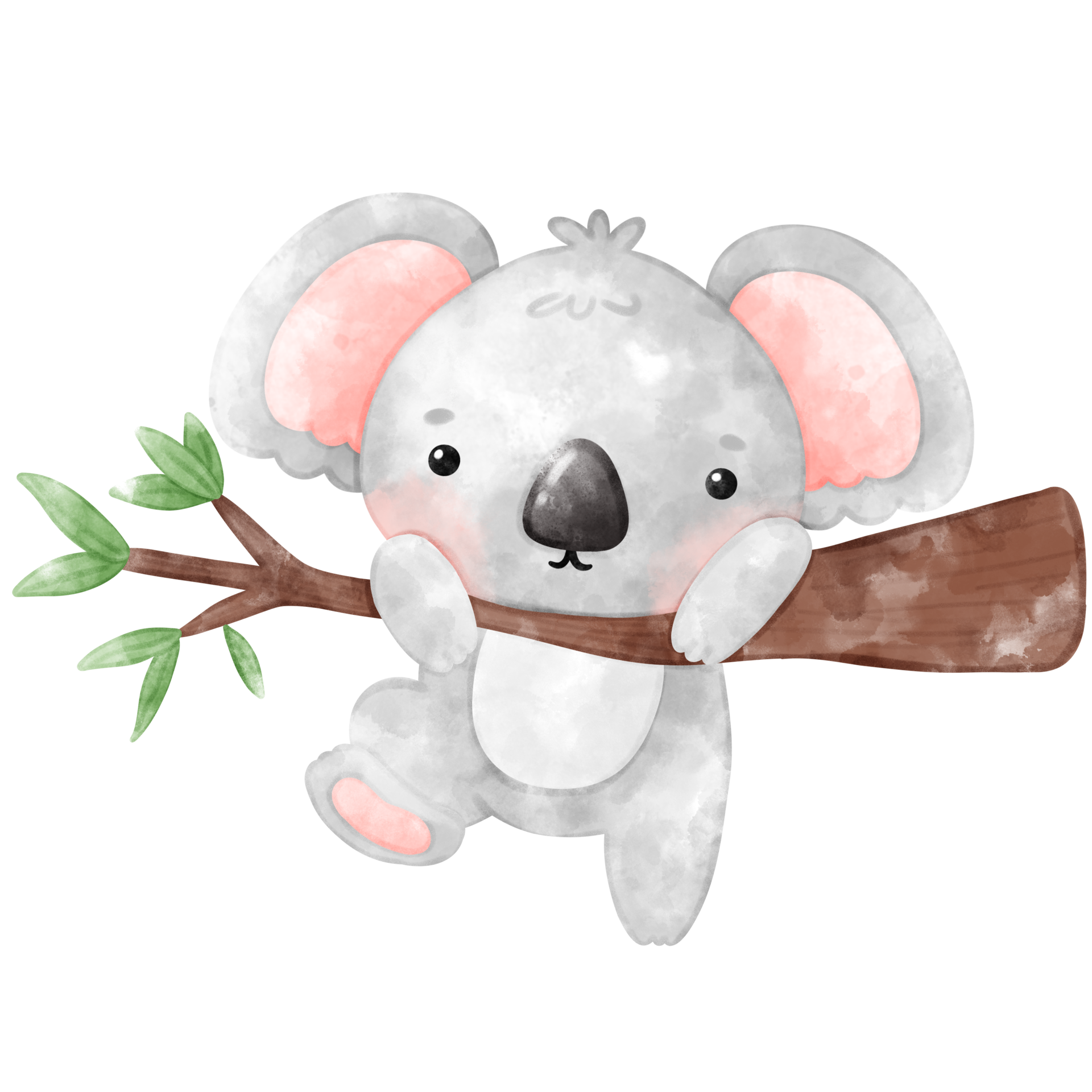 Cute Koala watercolor, koala , Koala bear 47394825 PNG
