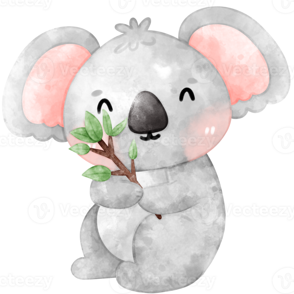 Cute Koala watercolor, koala , Koala bear 47394848 PNG