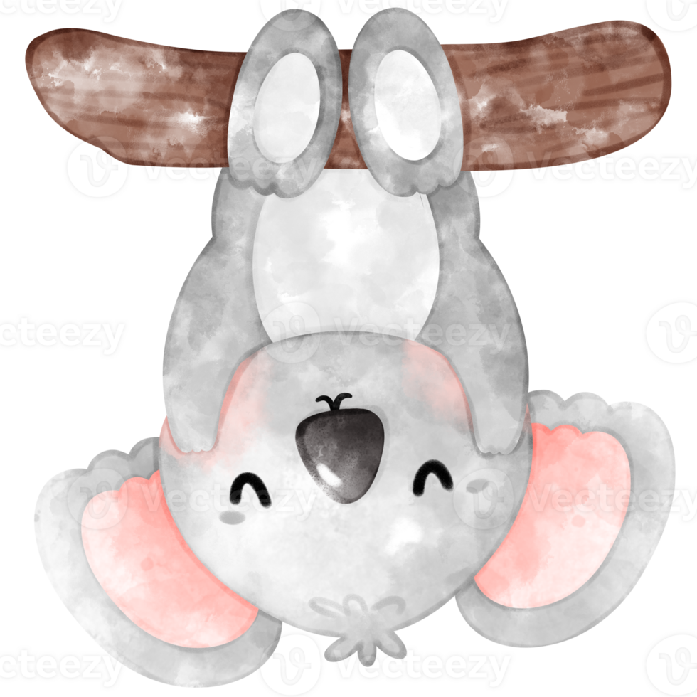 Cute Koala watercolor, koala , Koala bear 47394855 PNG