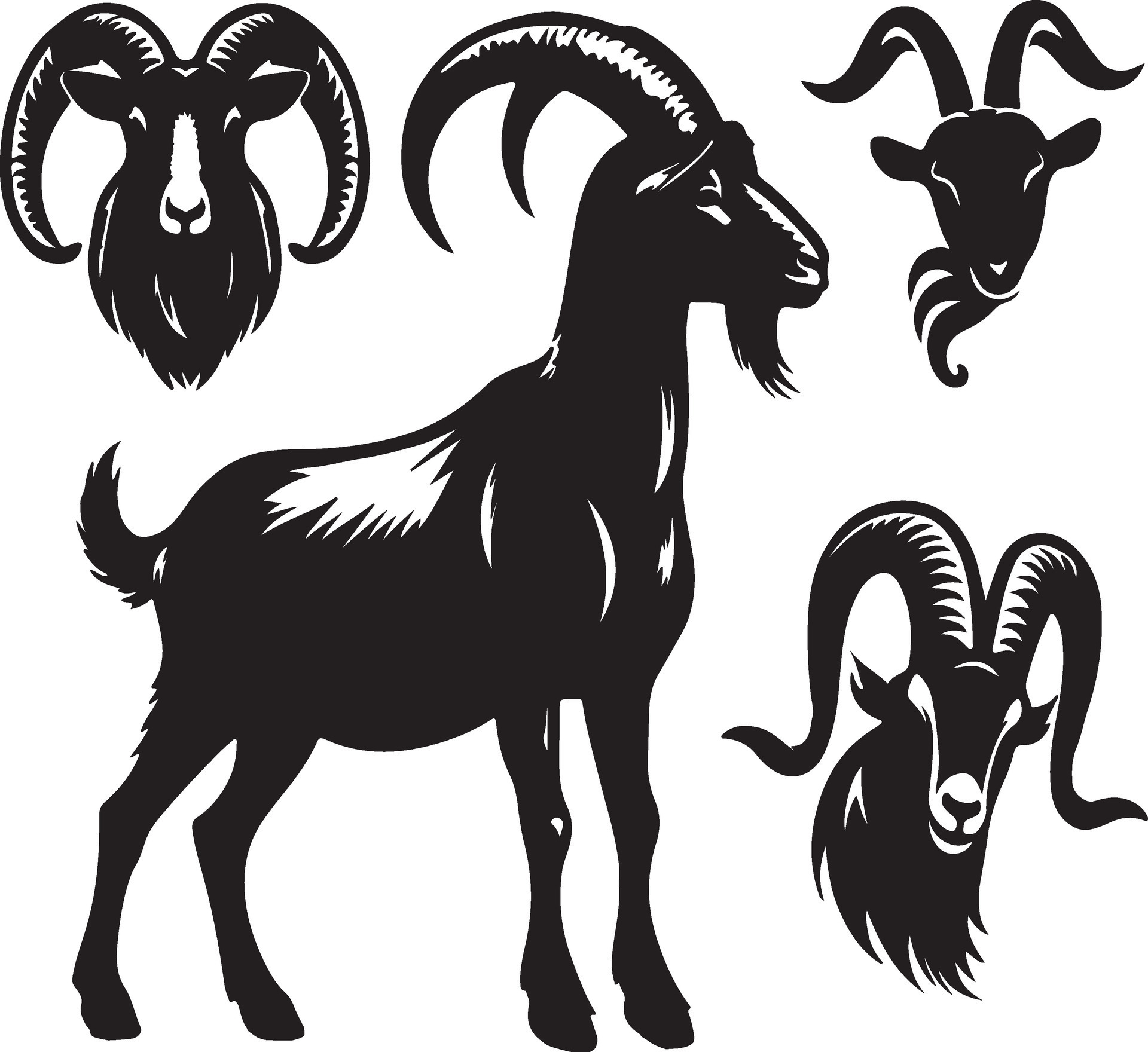 Goat black silhouette on white background 47405910 Vector Art at Vecteezy
