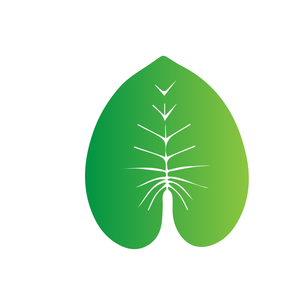 Flat Green Leaves 47433153 Png