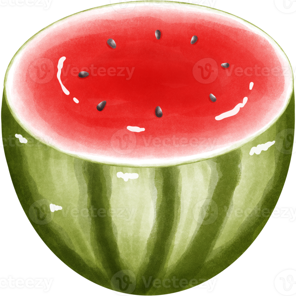 Watermelon Watercolor Collection 47445866 Png