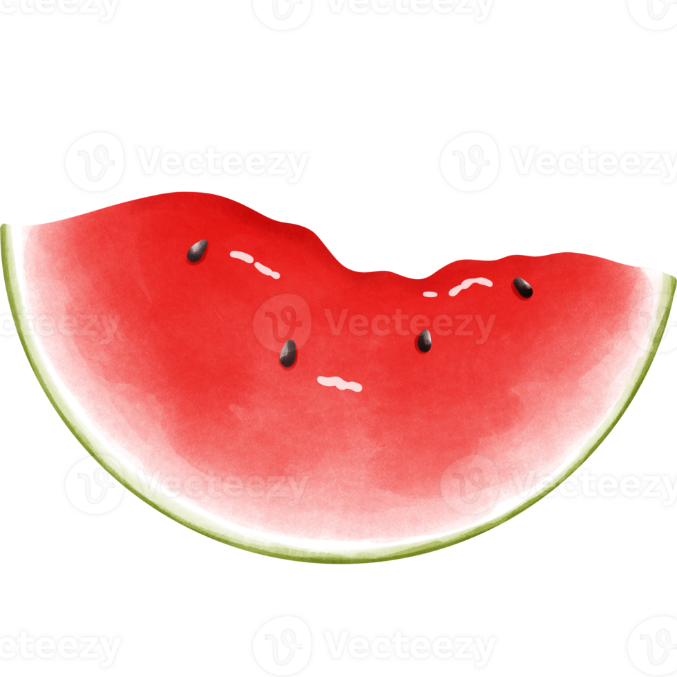 Watermelon Watercolor Collection 47445872 Png