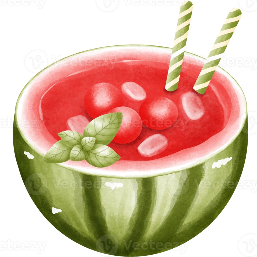 Watermelon Watercolor Collection 47445879 Png