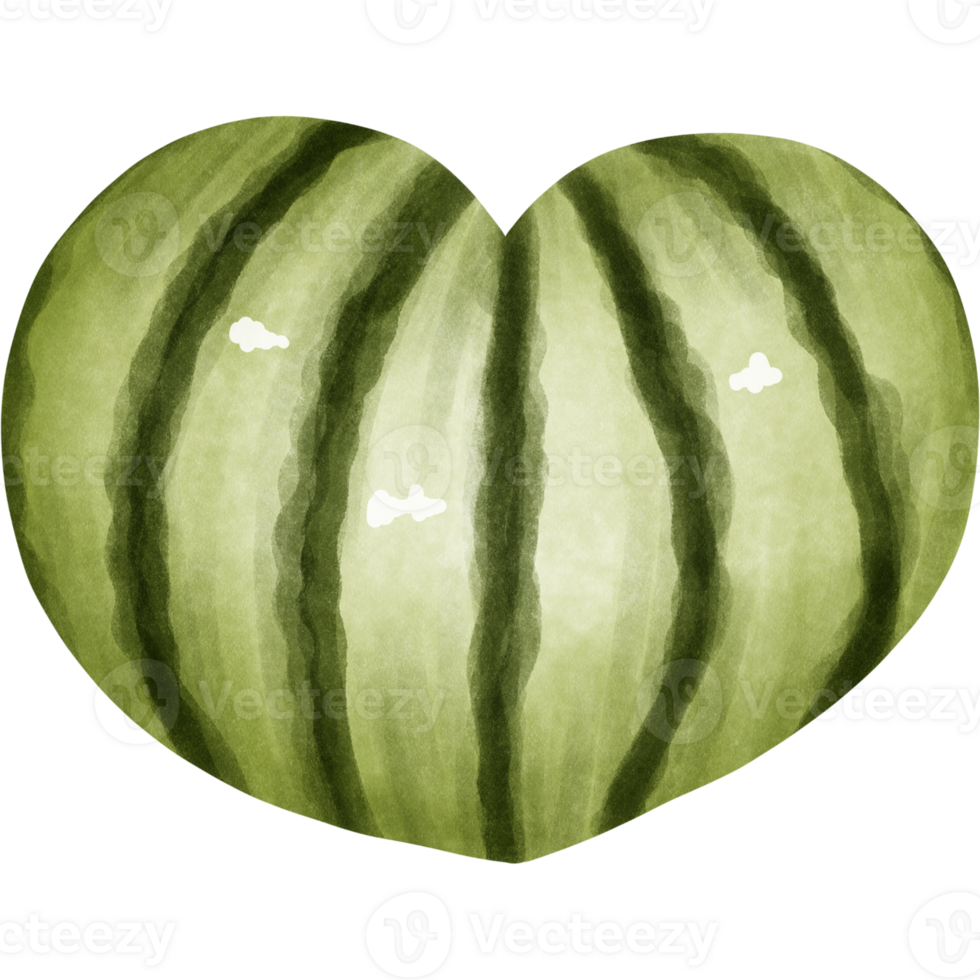 Watermelon Watercolor Collection 47445880 Png