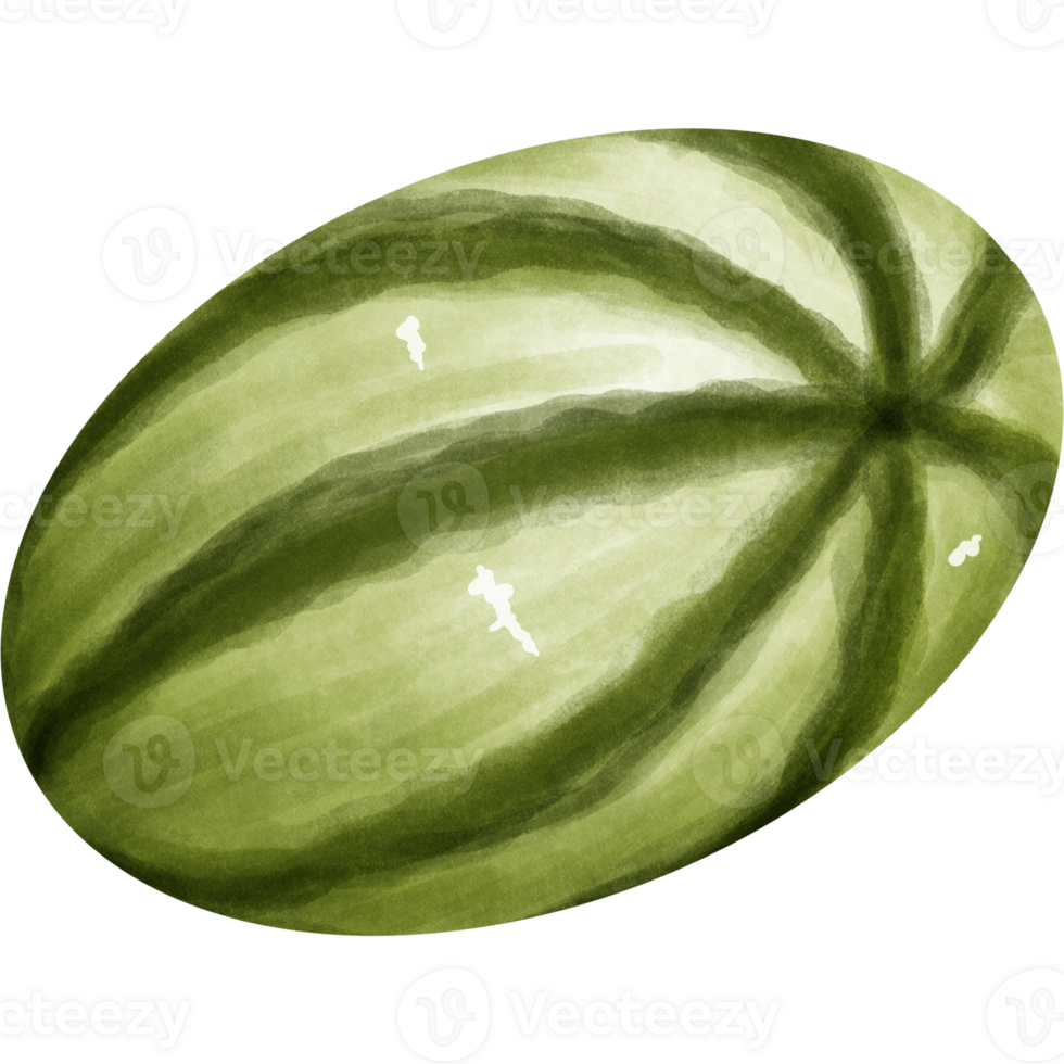 Watermelon Watercolor Collection 47445881 Png