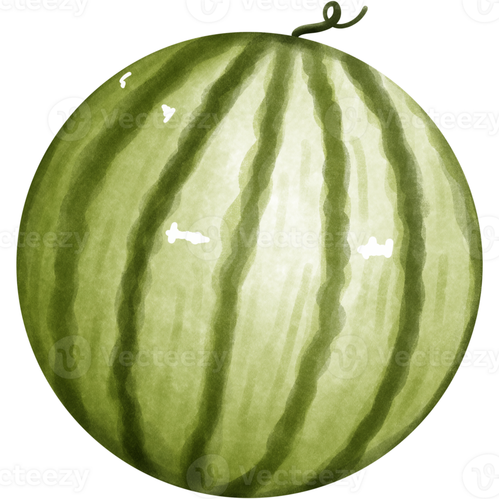 Watermelon Watercolor Collection 47445883 Png