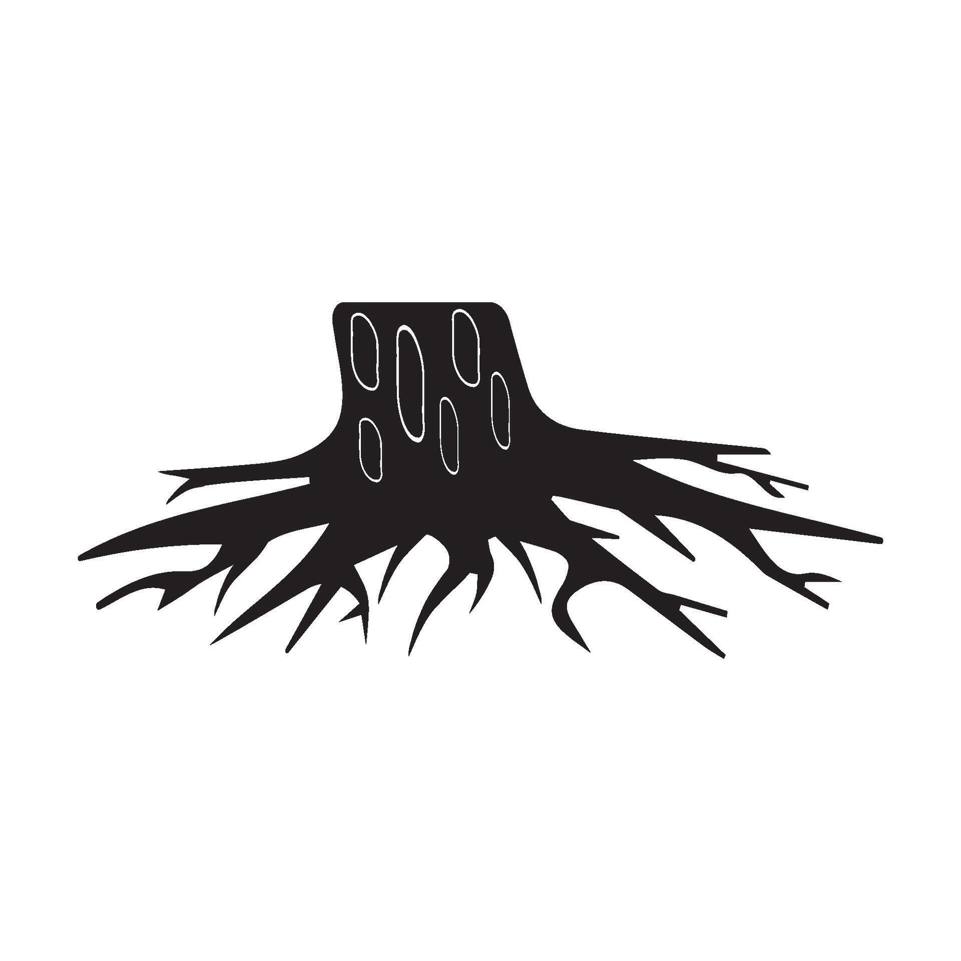 tree root icon 47449115 Vector Art at Vecteezy