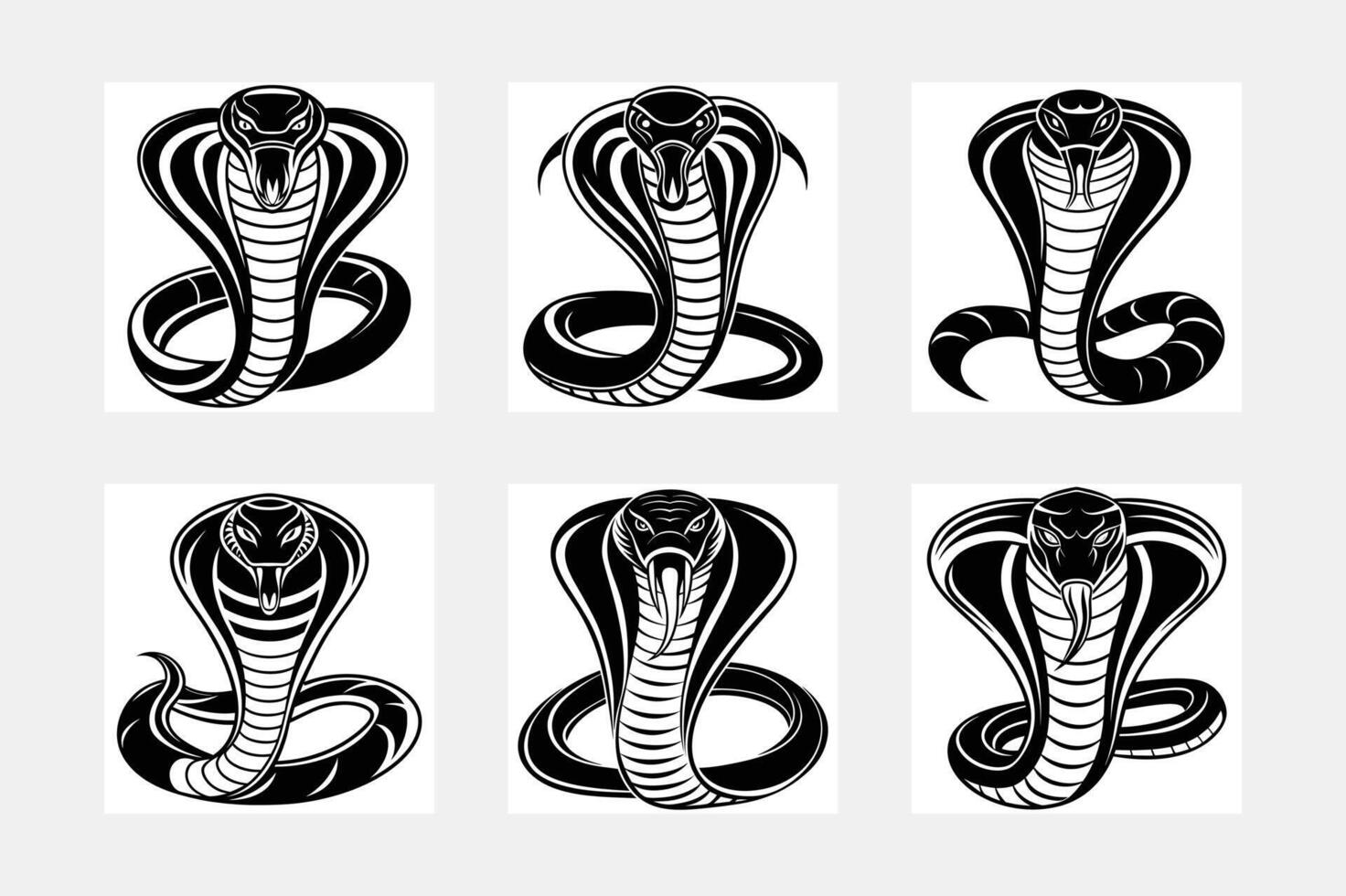 King Koura Illustration Bundle 47466688 Vector Art At Vecteezy