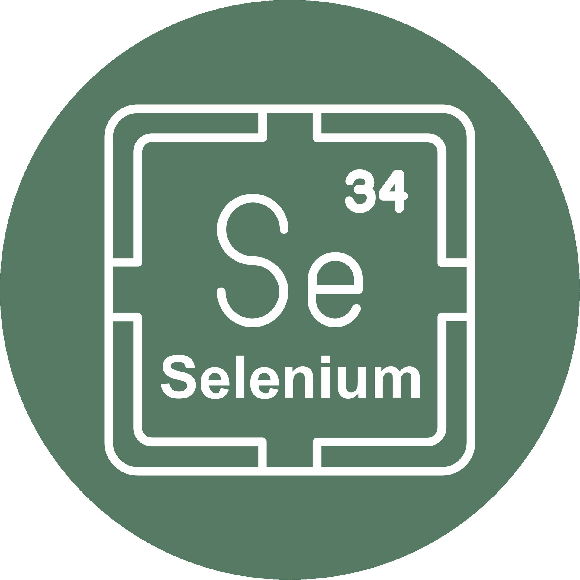 Selenium Line Multi Circle Icon 47470877 Vector Art at Vecteezy