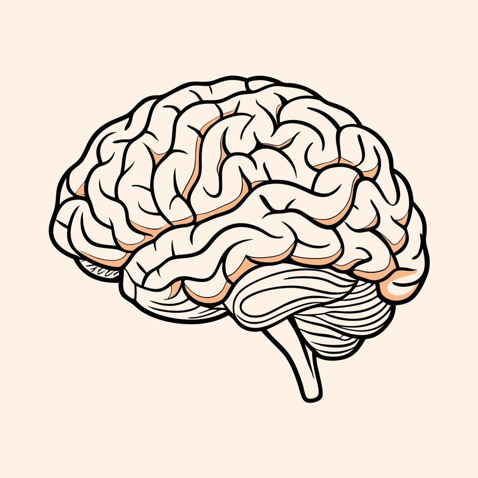 Brain outline sketch illustration 47489926 Vector Art at Vecteezy