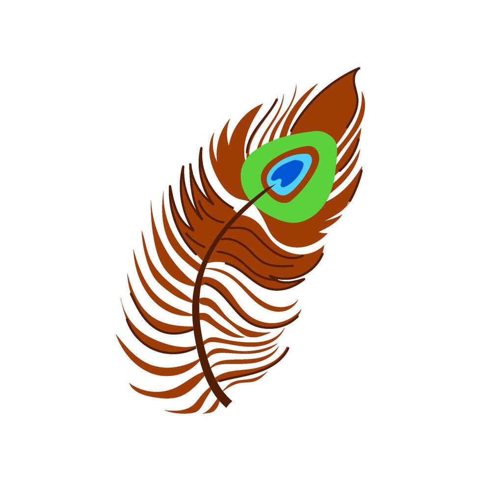 Watercolor Peacock Feather Cartoon Illustration 47527429 Vector Art At Vecteezy