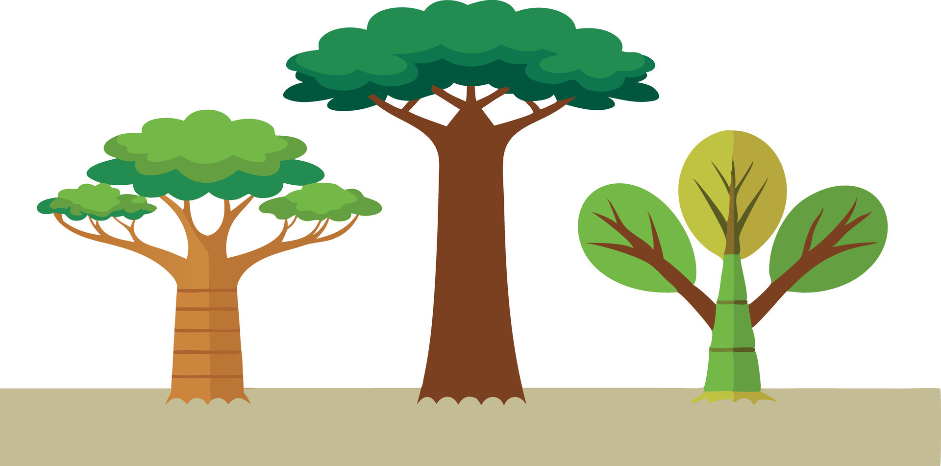 Three trees are shown in a row, with the middle tree being the tallest ...