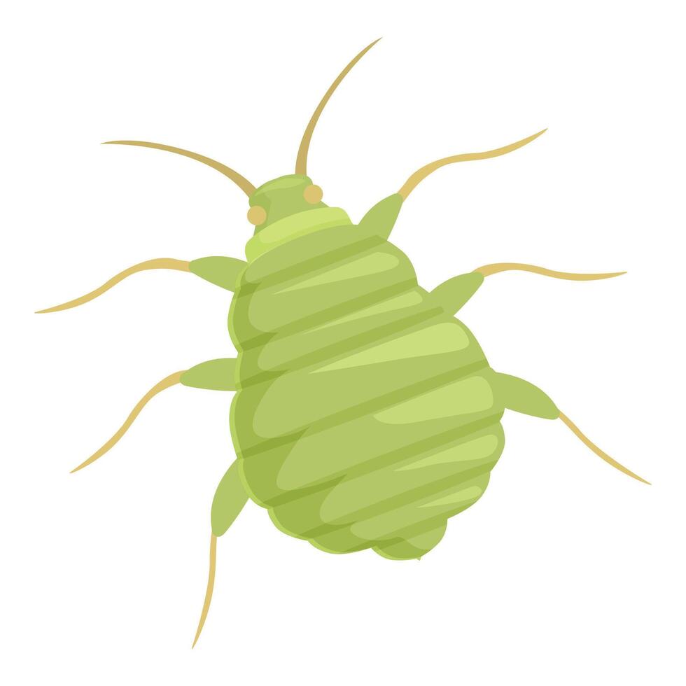 verde áfido insecto parásito gateando en blanco antecedentes 47563178 ... verde áfido insecto parásito gateando en blanco antecedentes 47563178 ...