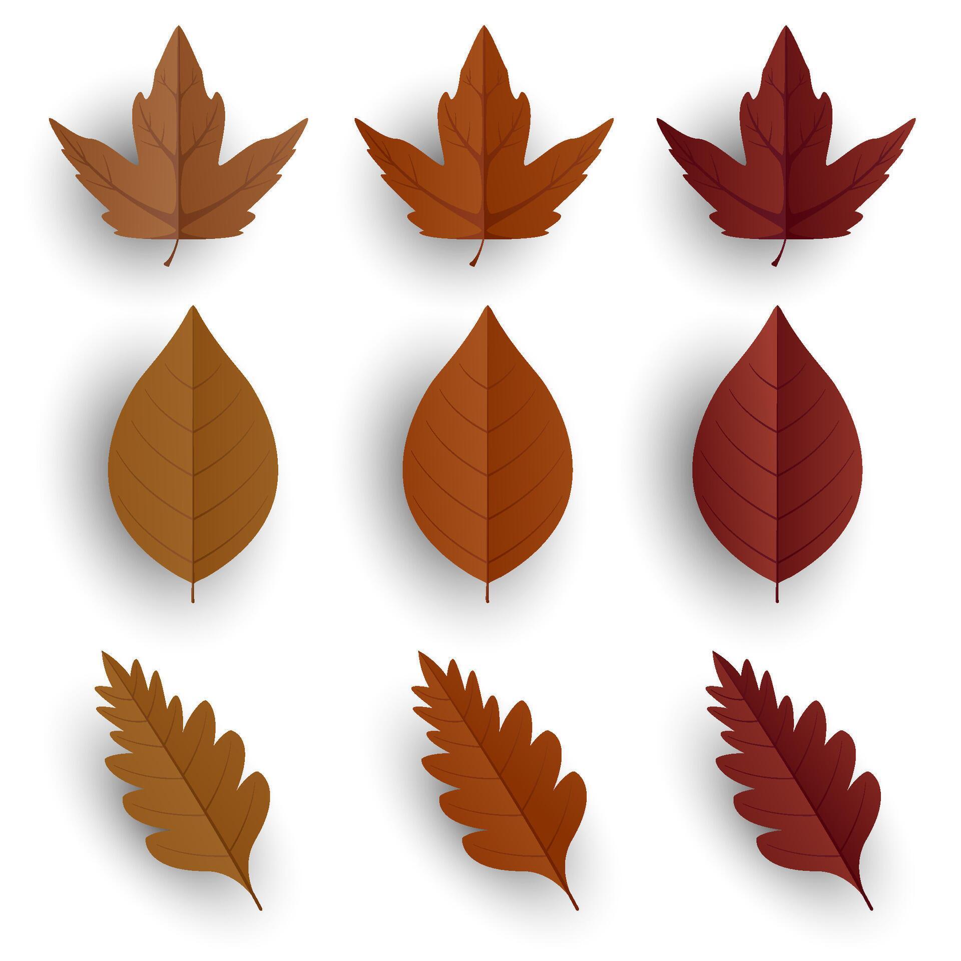 Autumn Leaves Set Isolated On A White Background Leaf In Paper Style